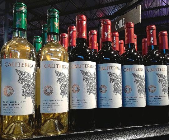 Brighten your summer with Caliterra wines from Chile - Wyatt's Wet Goods